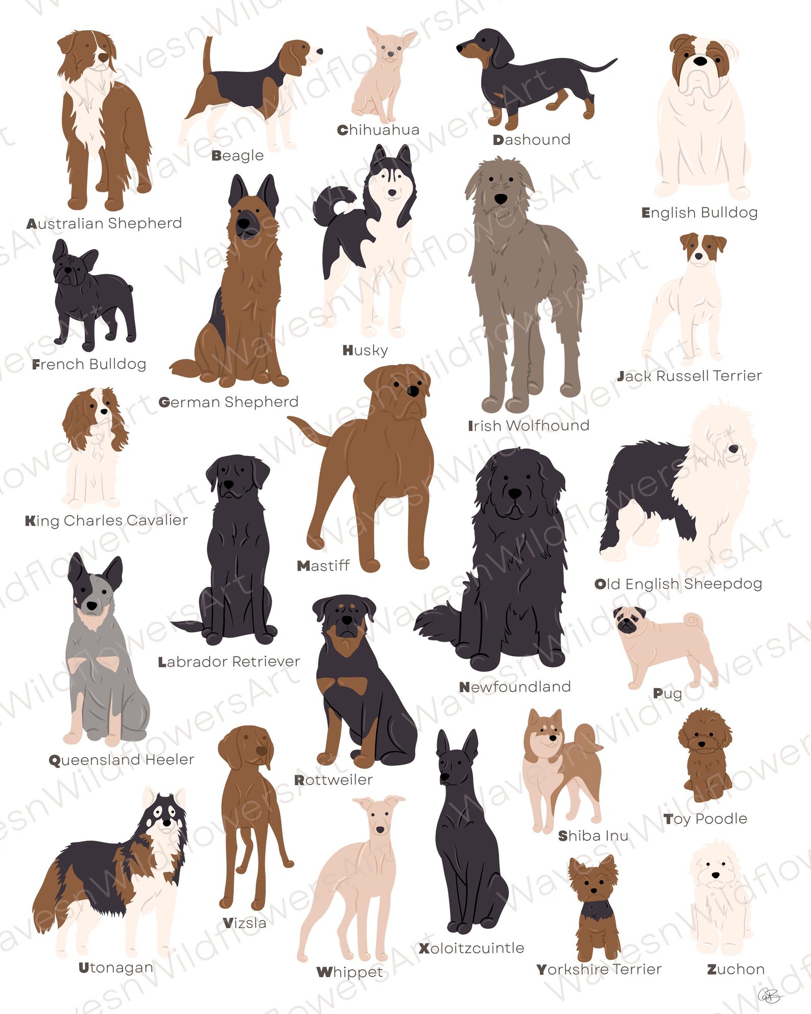 Dog Breed Alphabet Poster - Etsy