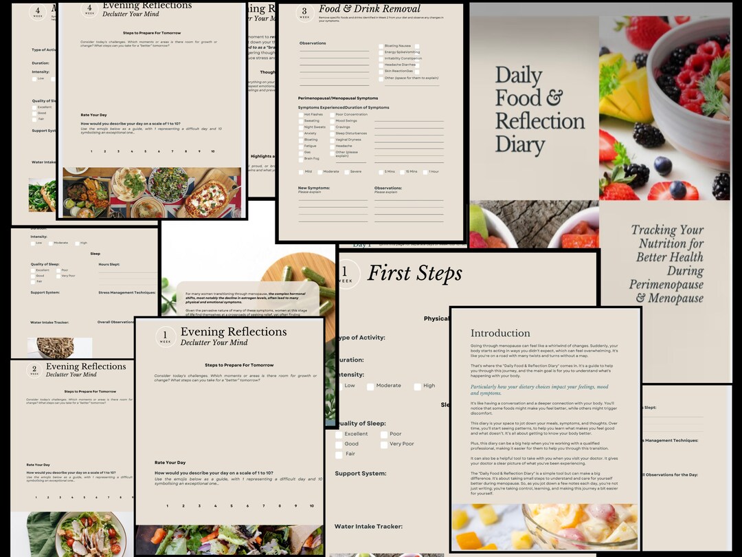 Daily Food & Reflection Diary for Perimenopause and the Menopause for ...
