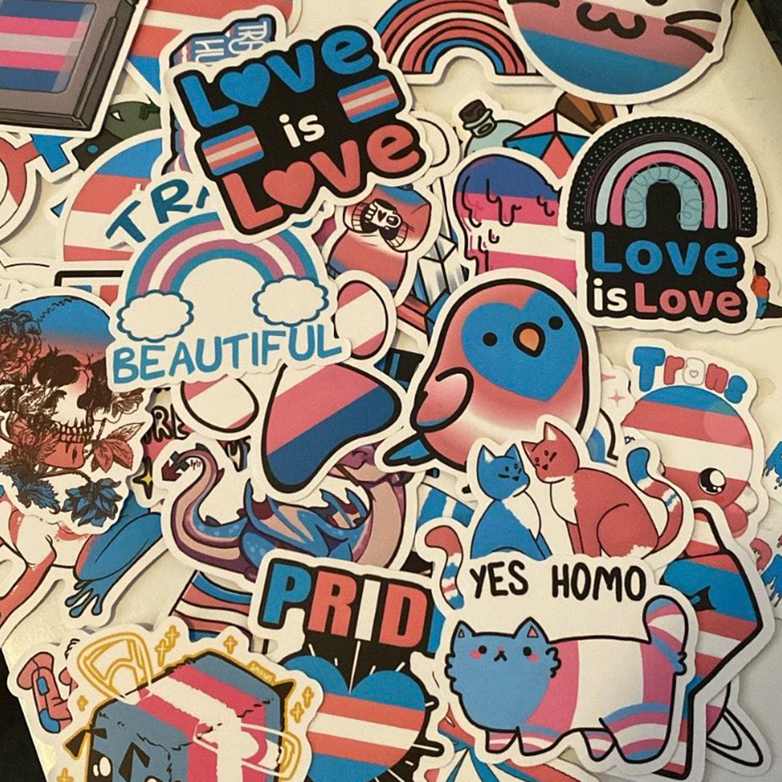 Transgender Pride Sticker Bundle - Etsy