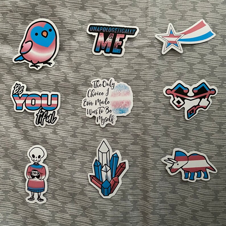 Transgender Pride Sticker Bundle - Etsy