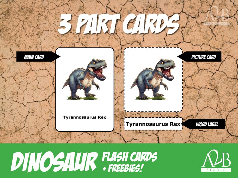 Dinosaur Flash Cards • Montessori Cards • Nomenclature • PDF Printable ...