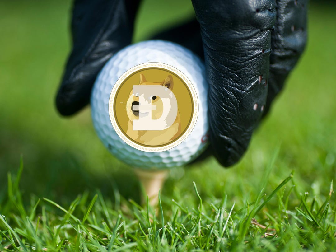 Doge Coin Golf Balls, Gift for Crypto Enthusiast, Crypto Gift, Doge ...