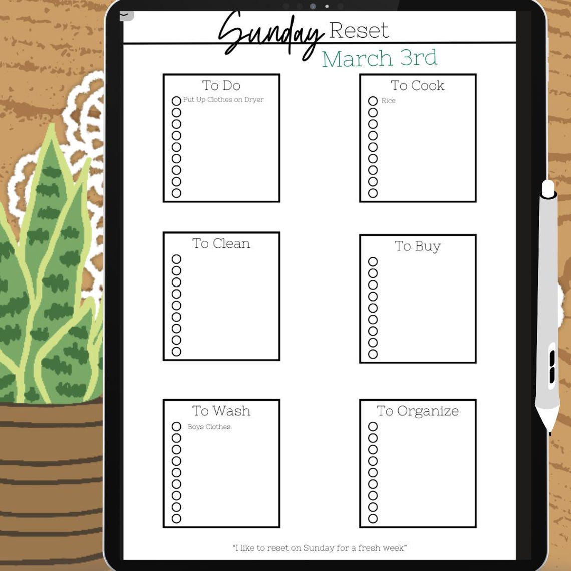 Sunday Reset Template - Etsy