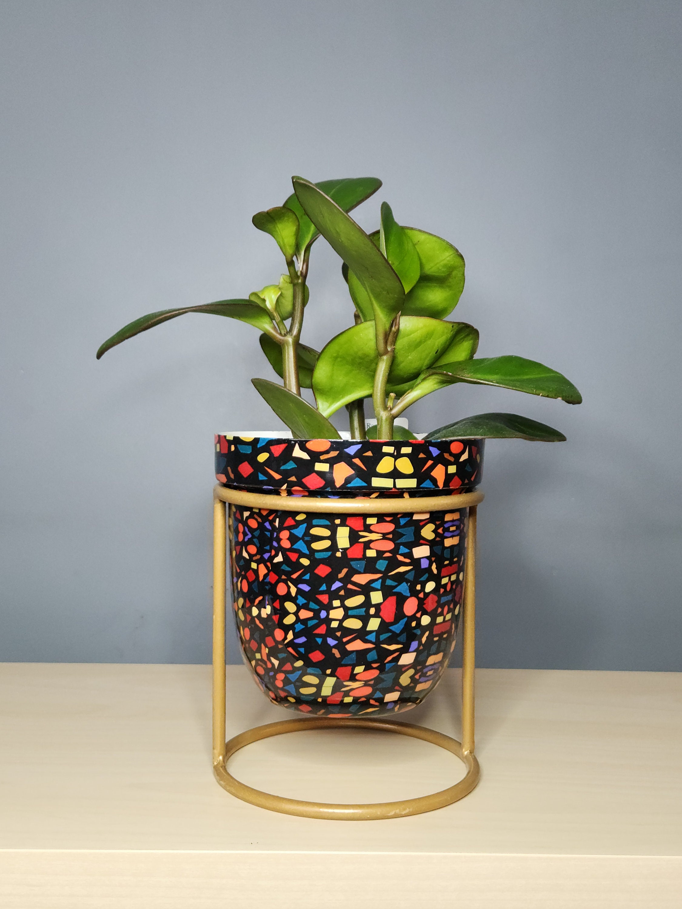 Indoor Planter Pots Geometry Flora With Gold Rustic Stand - Etsy