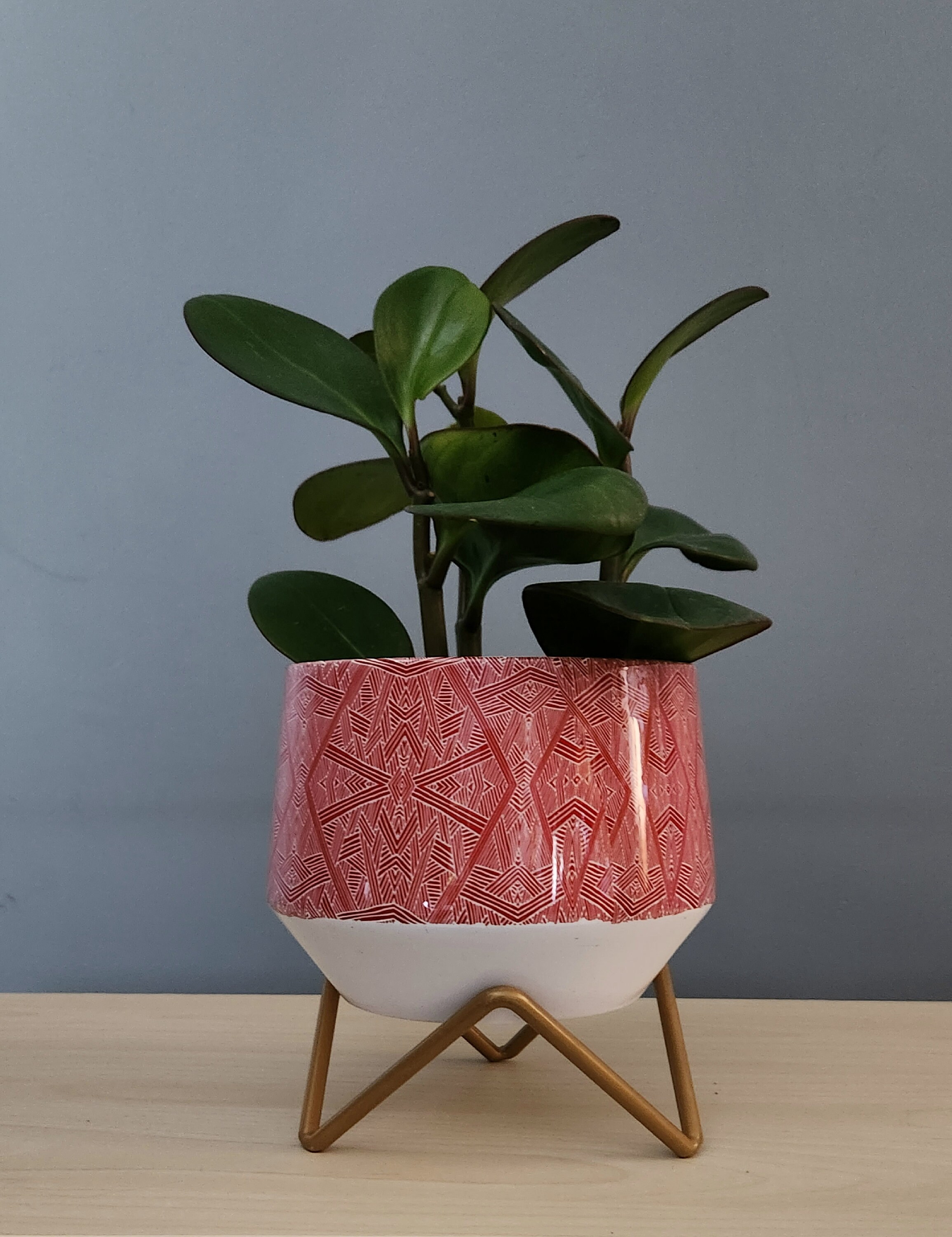 Indoor Planter Pots | Red Geometry Design With Gold Rustic Stand - Etsy