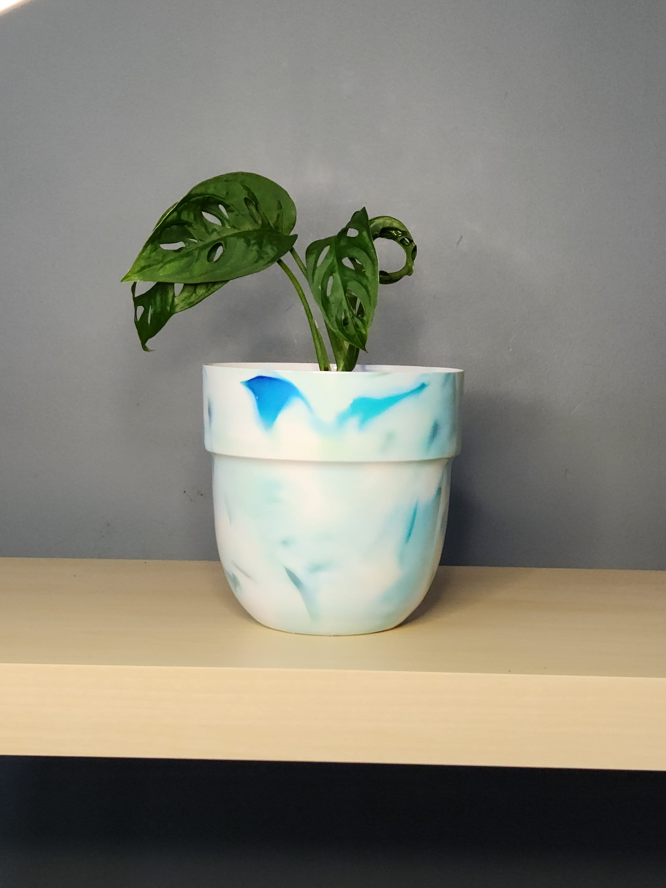 Blue Hue Metal Planter, Wide Indoor Plant Pot, Modern Desk & Shelf ...