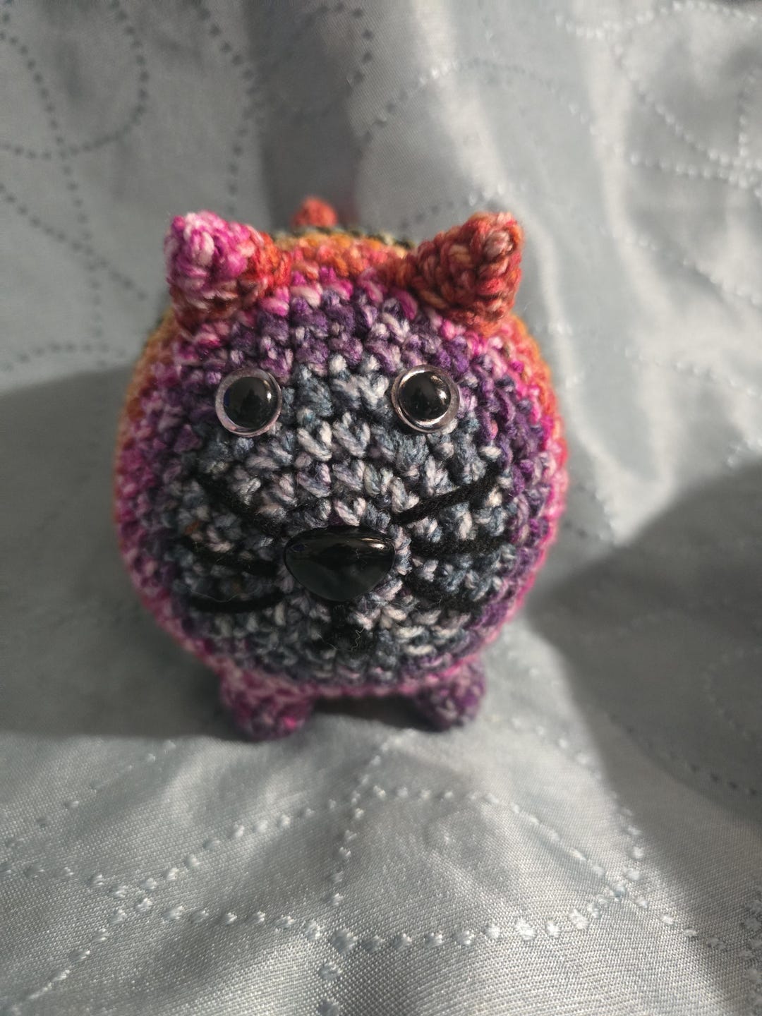 Sunrise Surprise Loaf Kitten - Etsy