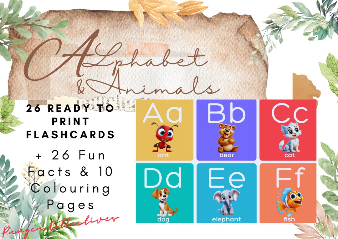 Animal ABC Flashcards for Kids | Alphabet Recognition & Animal Discover ...