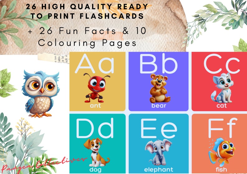 Animal ABC Flashcards for Kids Alphabet Recognition & Animal - Etsy