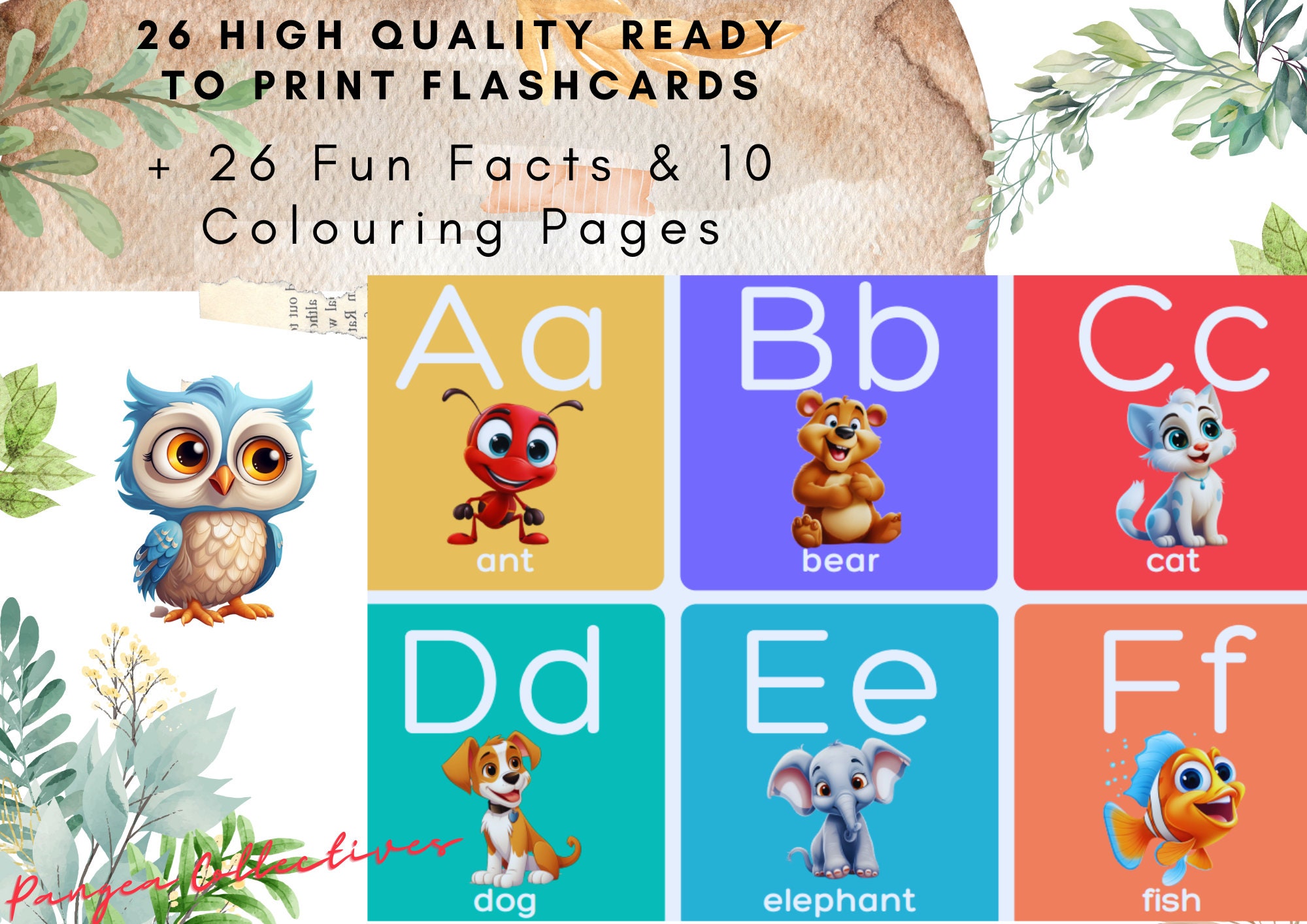 Animal ABC Flashcards for Kids | Alphabet Recognition & Animal Discover ...