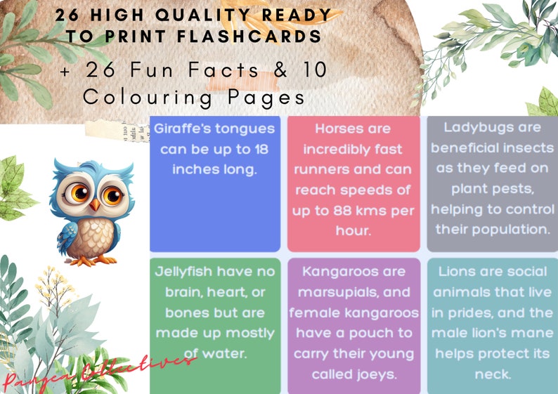 Animal ABC Flashcards for Kids | Alphabet Recognition & Animal Discover ...