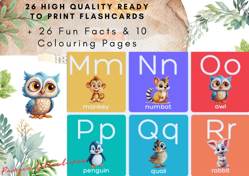 Animal ABC Flashcards for Kids | Alphabet Recognition & Animal Discover ...