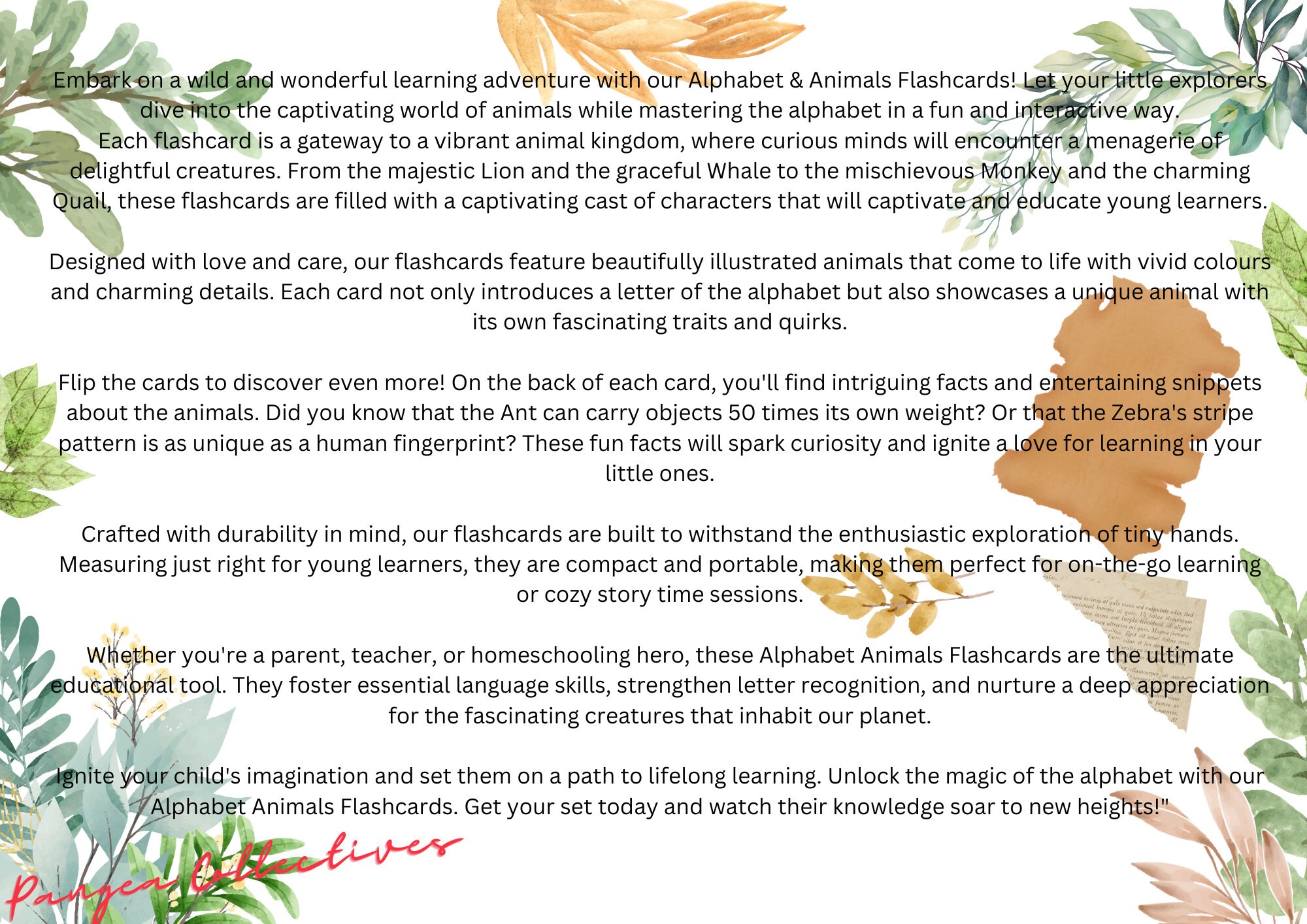 Animal ABC Flashcards for Kids | Alphabet Recognition & Animal Discover ...