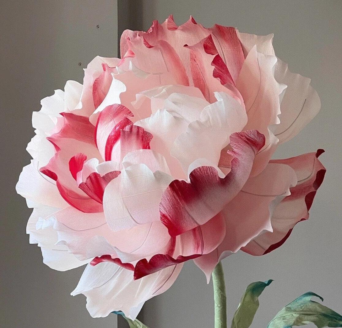 Giant Flower Blooms Gorgeous Perfect for Events Birthdays Weddings ...