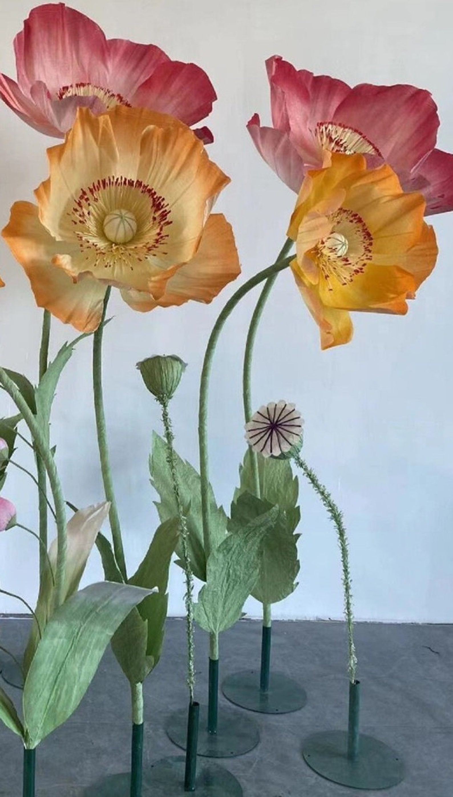 Giant Flower Blooms Gorgeous Perfect for Events Birthdays Weddings ...