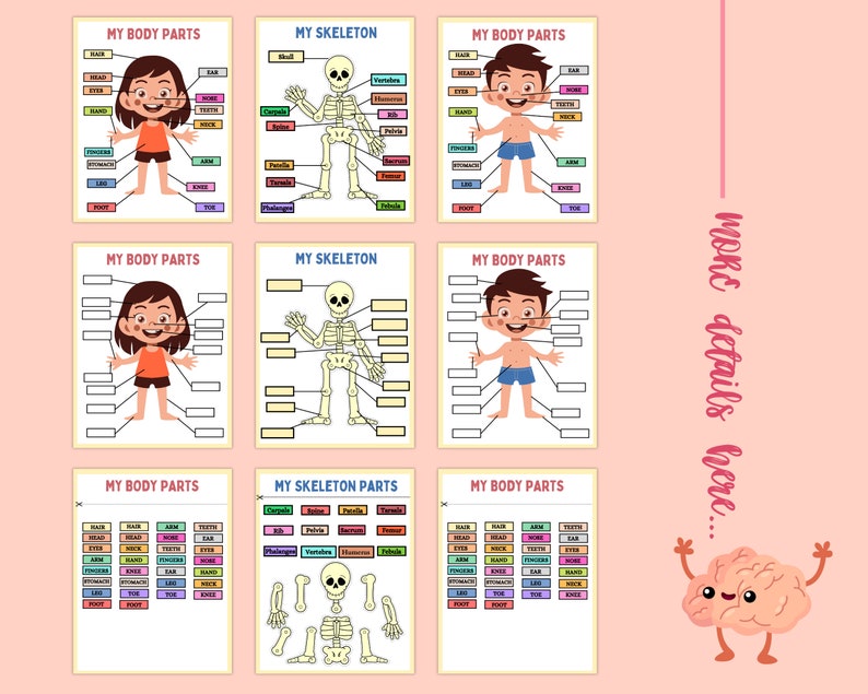 Human Anatomy for Kids, Body Parts, Busy Book, Learning Book PDF ...