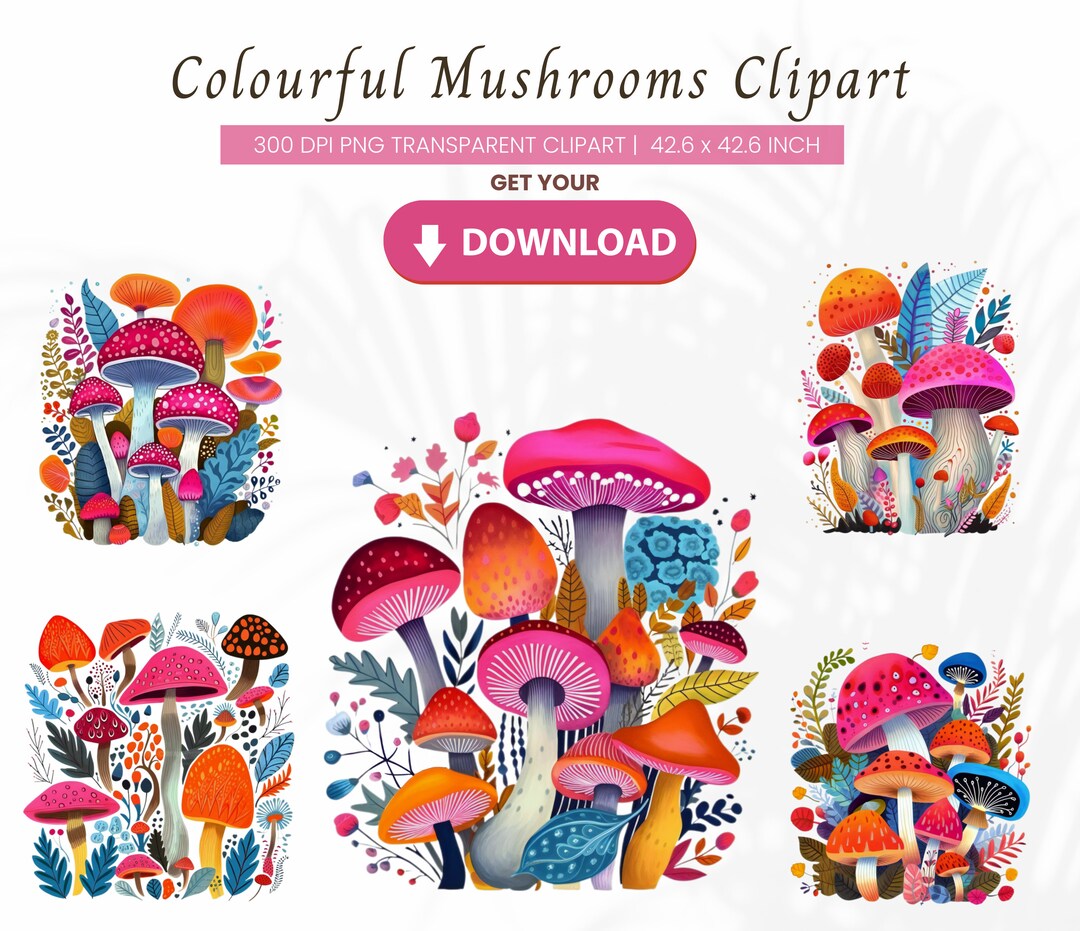 Colorful Mushrooms Clipart Bundle Mushroom Clipart PNG - Etsy