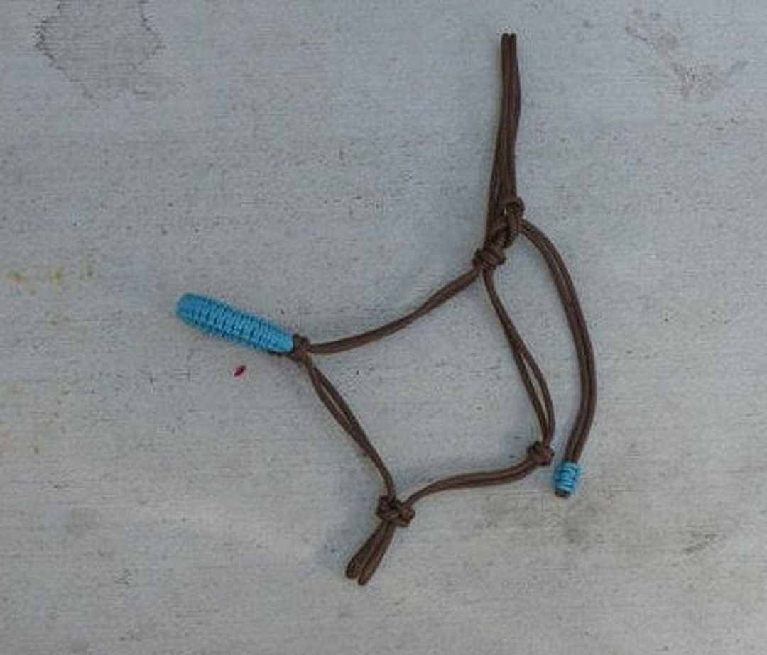 Custom Rope Halter - Etsy