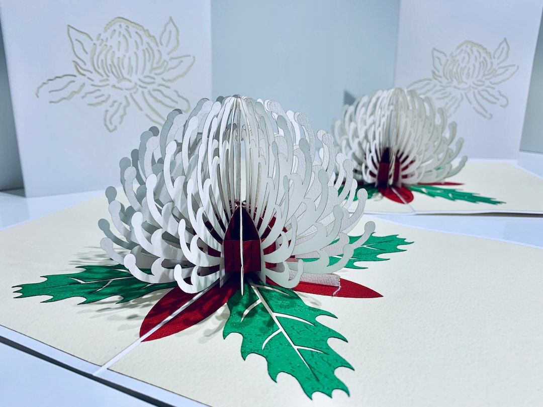 Waratah Australian Native Flower in White Created by Origami Pop Cards ...