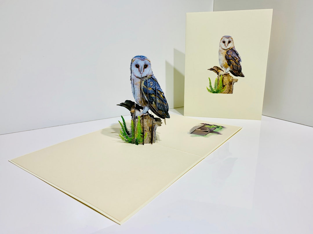 Barn Owl Bird Card - Created by Origami Pop Cards Sydney Australia – 3D ...