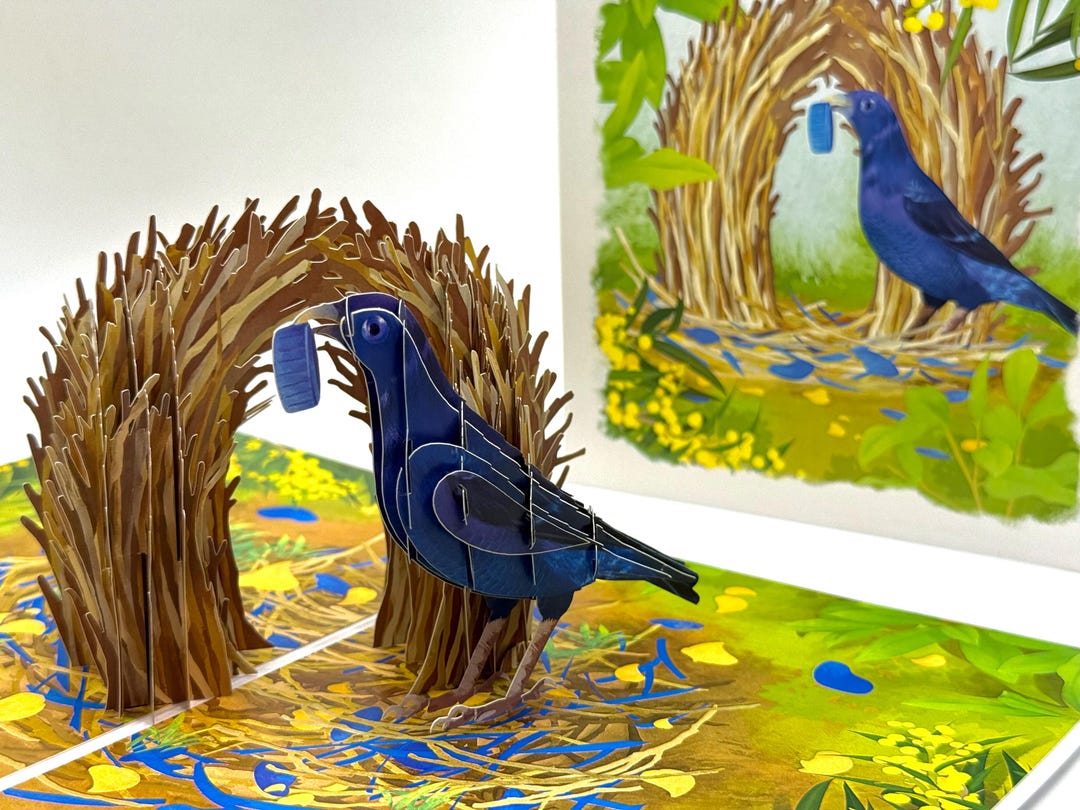 Satin Bowerbird 3D Pop up Greeting Card Handmade With Love Thank You ...
