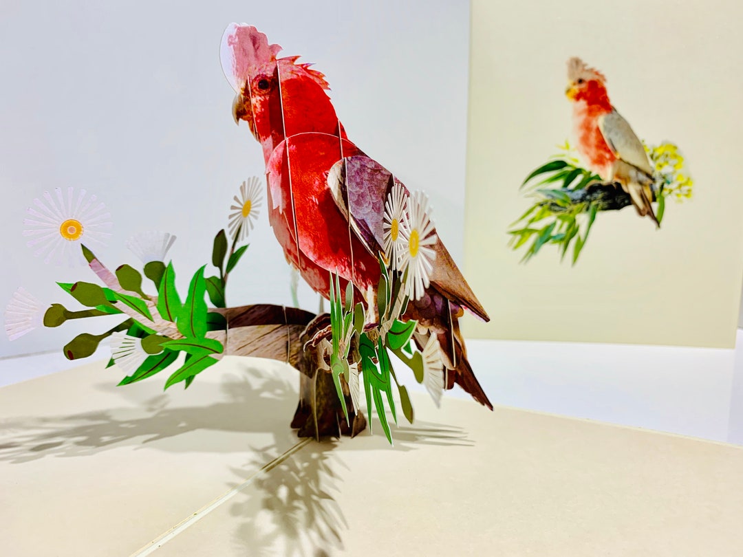 Galah Cockatoo Bird 3D Birthday Greeting Card - Origami Handmade ...