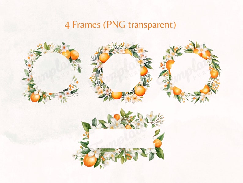 Watercolor Orange Blossom Clipart Set PNG Transparent Floral Art ...