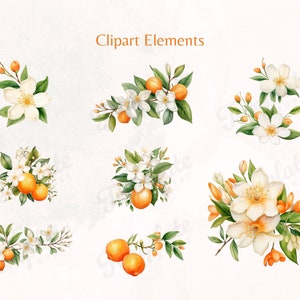 Watercolor Orange Blossom Clipart Set PNG Transparent Floral Art ...