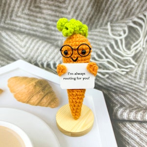 Heartwarming Carrot and Emotional Support Love Potted Plant,handmade ...