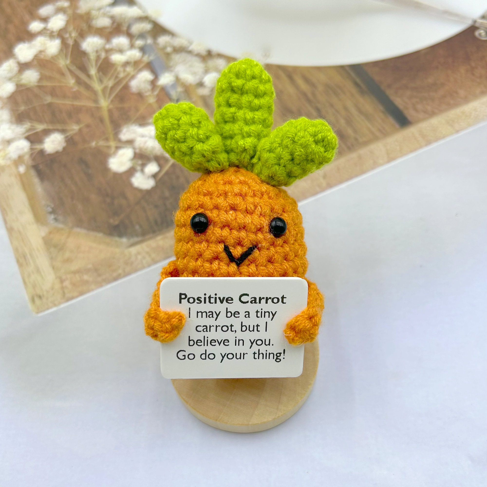 2PCS Crochet Emotional Support Picklepositive Carrot - Etsy