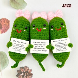 Crochet Positive Pickle: Handmade Emotional Support Gift, Teacher ...