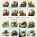 Steampunk Woodland Insect Clipart Bundle of 104 PNG, Watercolor Insect ...