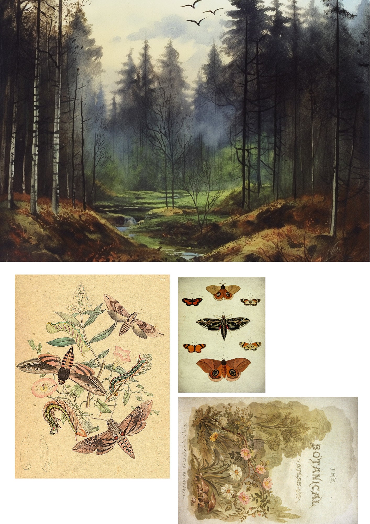 Enchanted Nature Junk Journal Printables Kit Fairies in a Forest ...