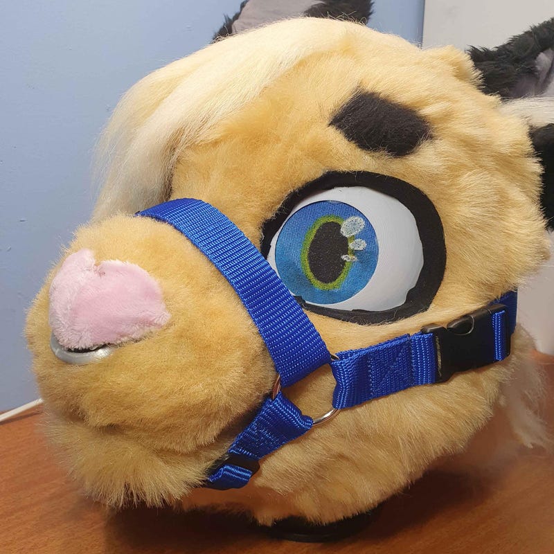 Rainbows Fursuit - Etsy UK