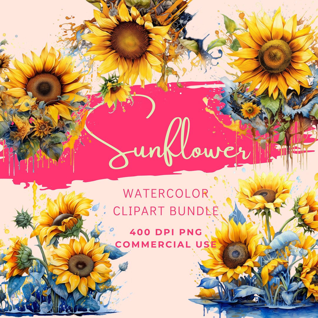 Watercolor Sunflower Clipart - High-resolution, Transparent, Commercial ...