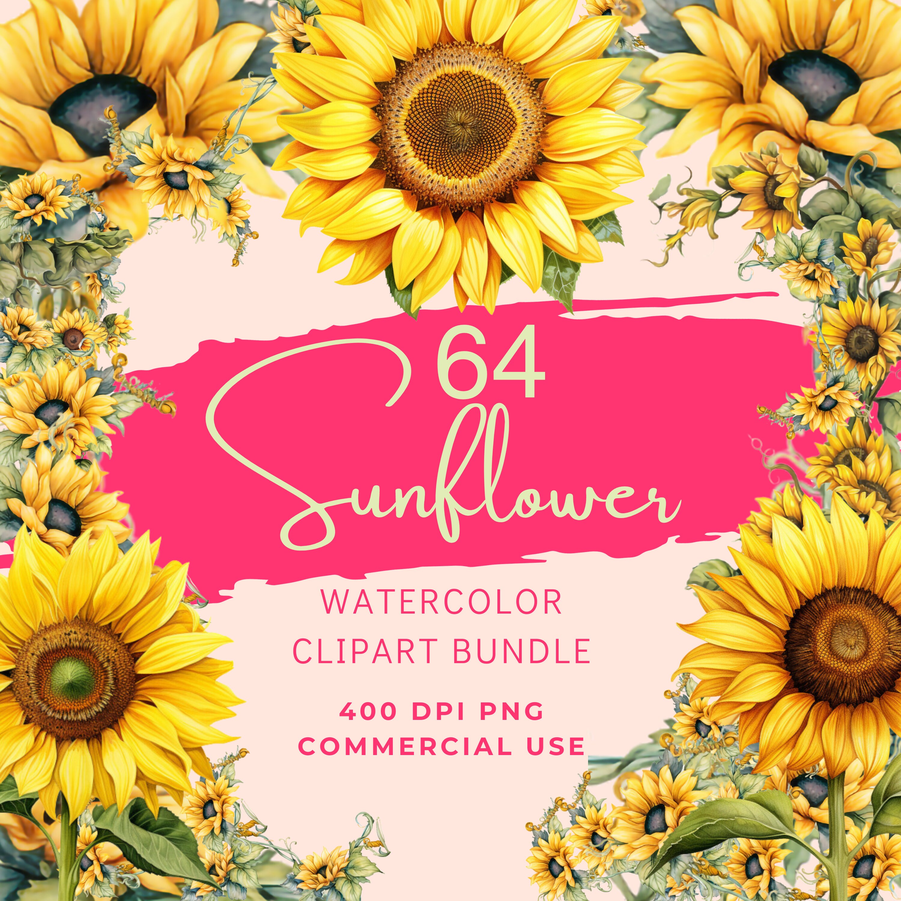 Sunflower Watercolor Clipart Collection: 64 Floral High-resolution Pngs ...