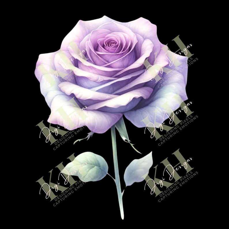 Rose June Birth Flower Clipart Bundle, Five Digital PNG Images in High ...