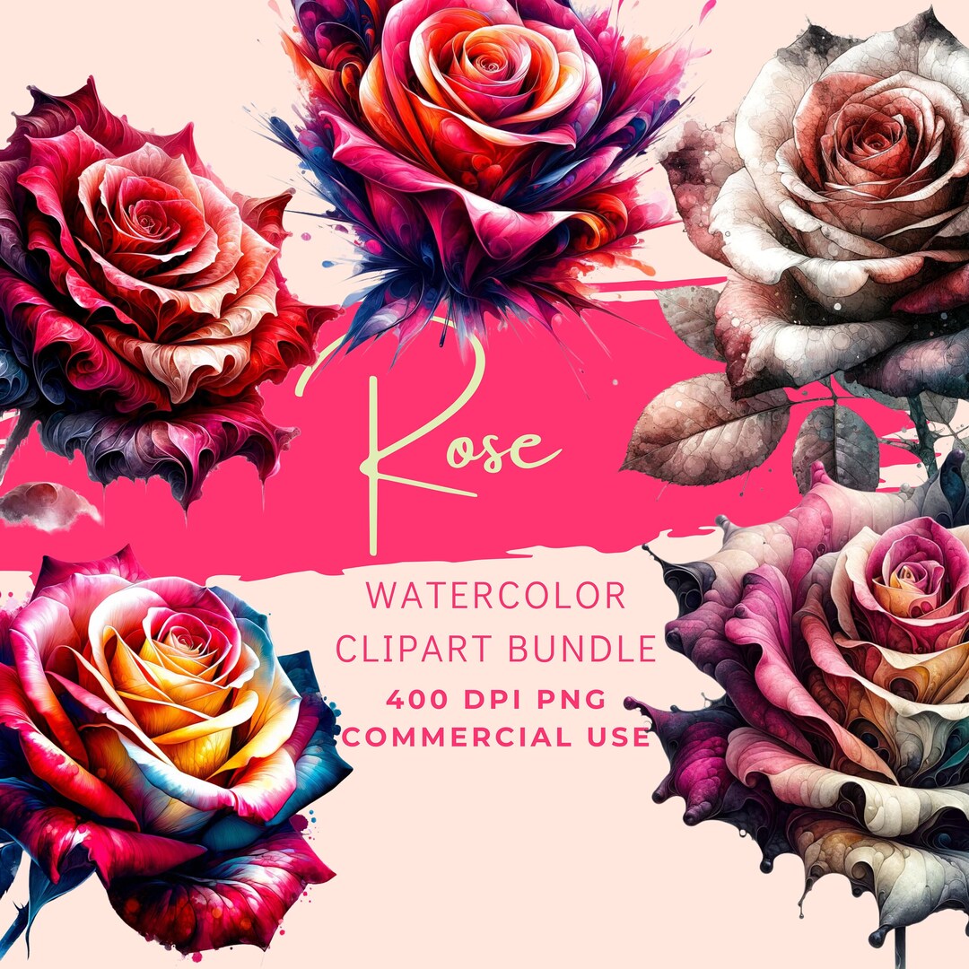 Rose Clipart Bundle, Five Digital PNG Images in High Resolution ...
