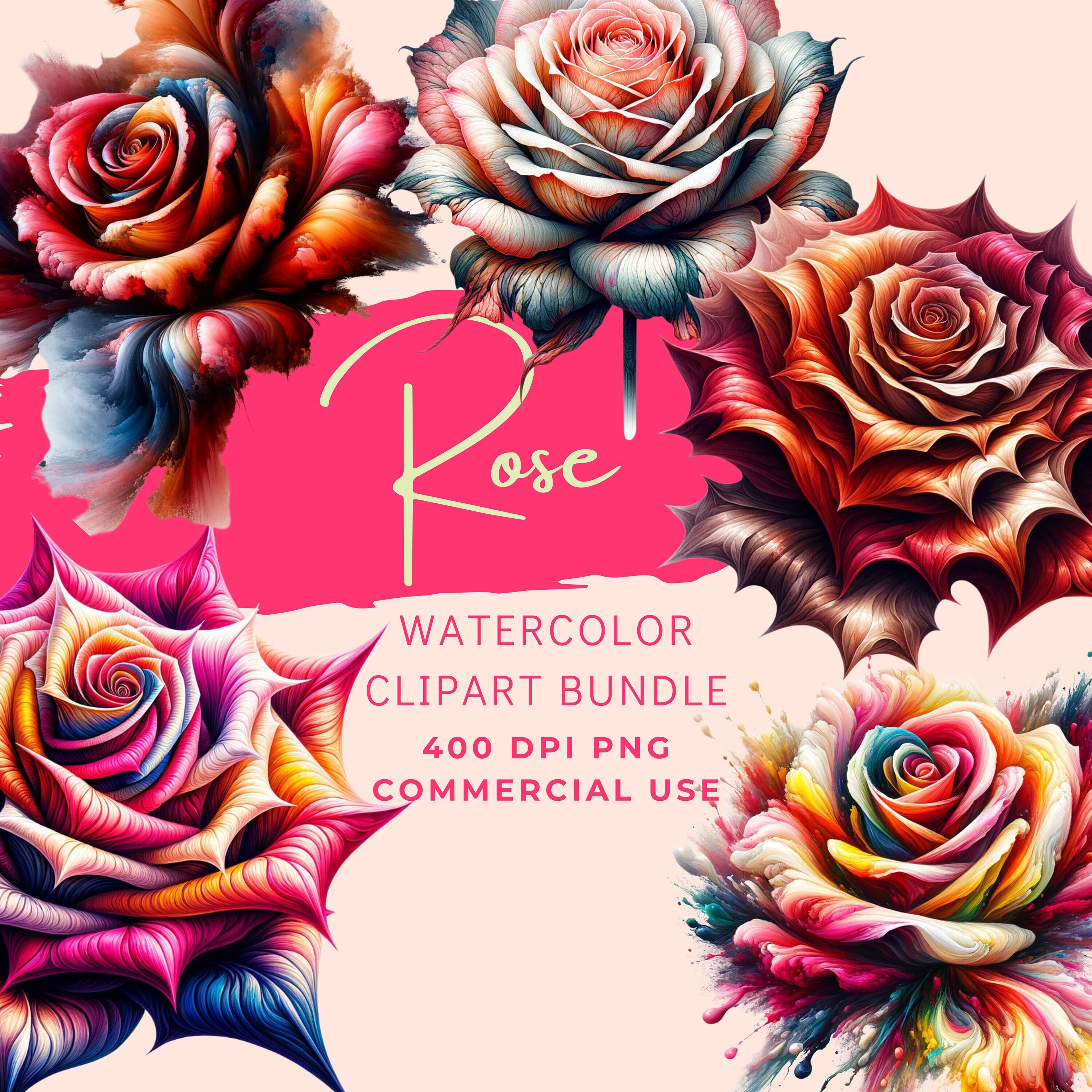 Unique Rose Clipart Bundle, Five Digital PNG Images in High Resolution ...