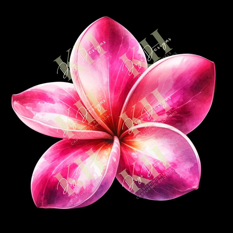 Frangipani Plumeria Clipart Bundle of Five High Quality, High Resolution Digital PNG Images ...