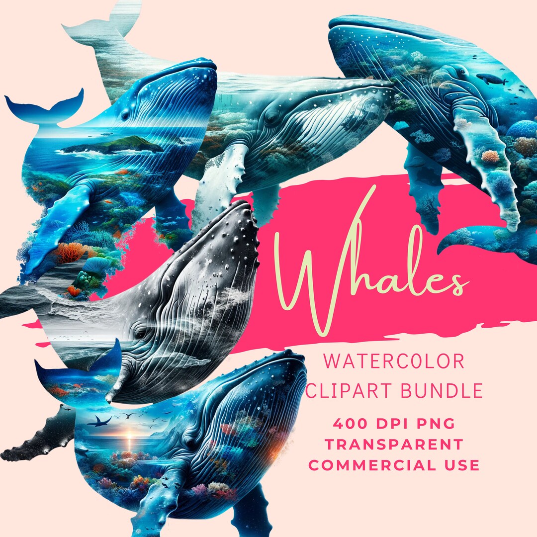 Whale Clipart Bundle, Five Digital PNG Images in High Resolution ...