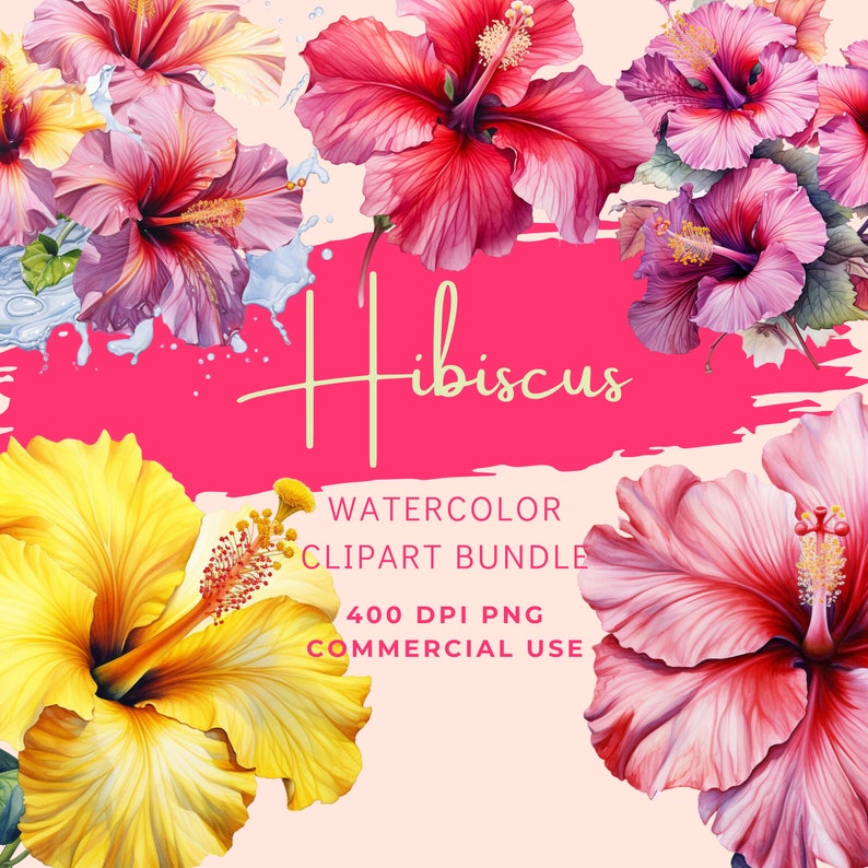 Hibiscus Watercolor Cliparts: High-resolution Bundle, Transparent ...