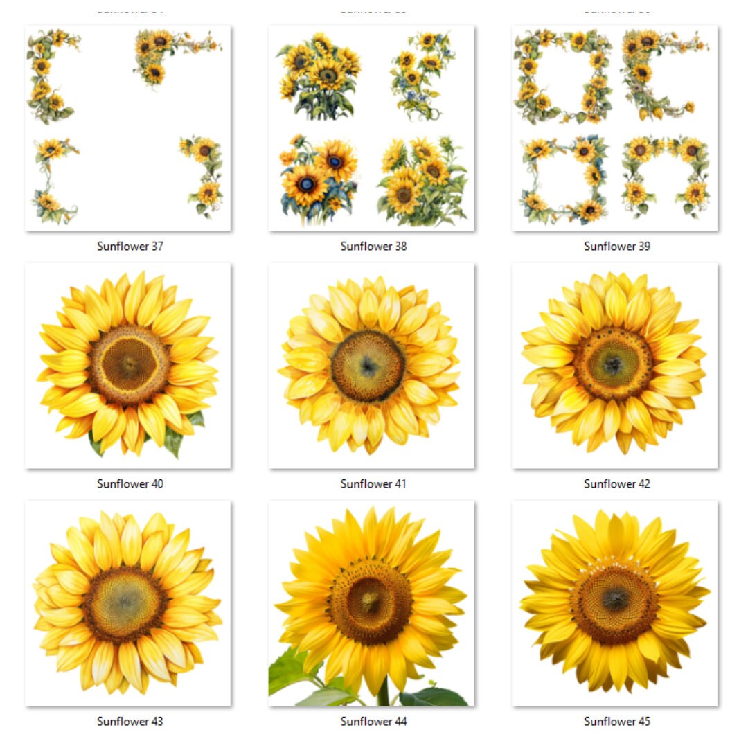 Sunflower Watercolor Clipart Collection: 64 Floral High-resolution Pngs ...