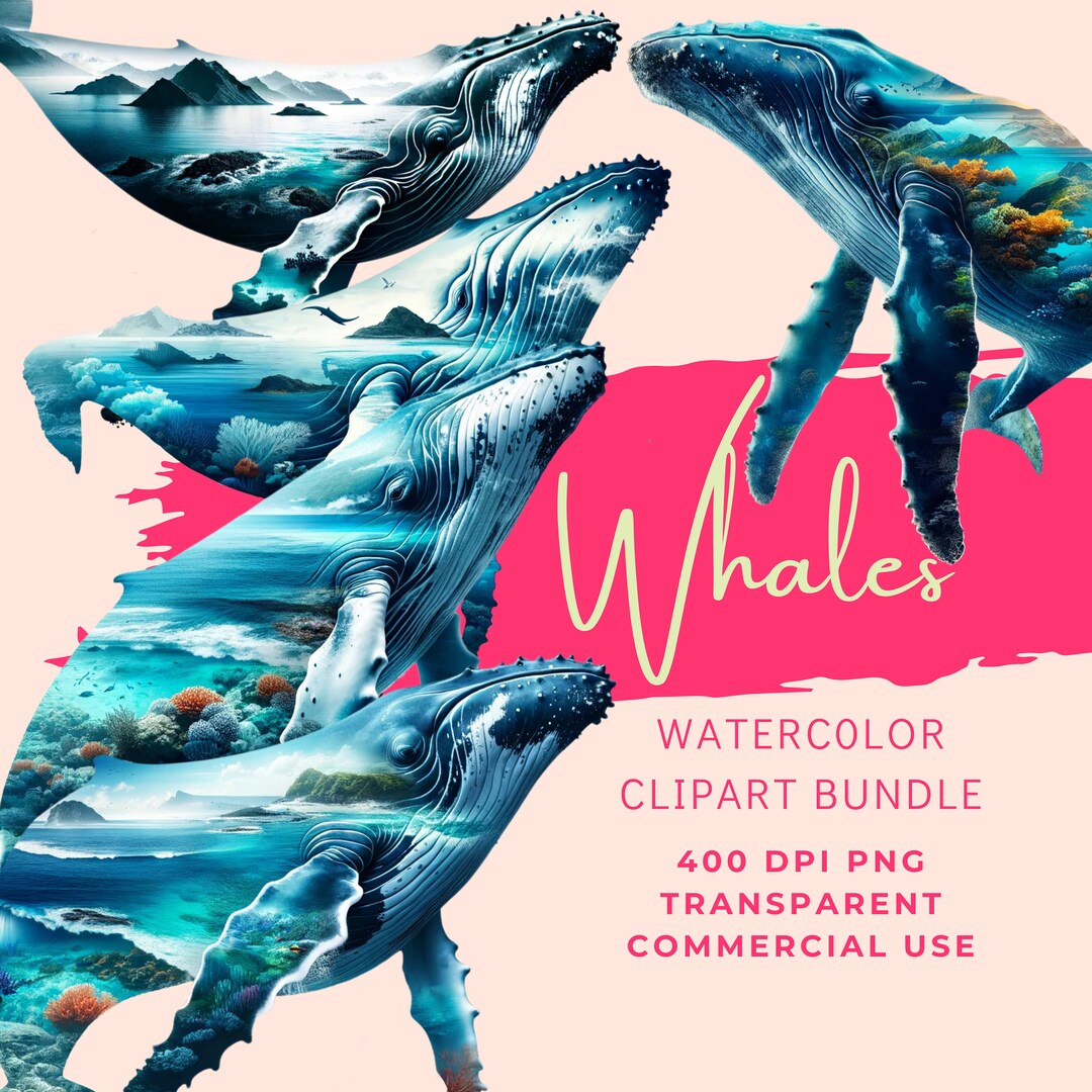 Whale Clipart Bundle of Five Digital PNG Images in High Resolution ...