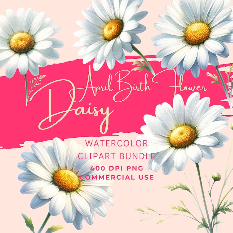 Daisy April Birth Flower Clipart Bundle, Five Digital PNG Images in ...