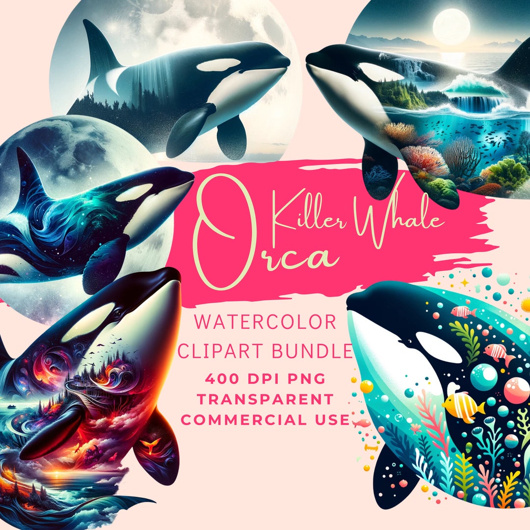 Killer Whale Orca Clipart Bundle, Five Digital PNG Images in High ...
