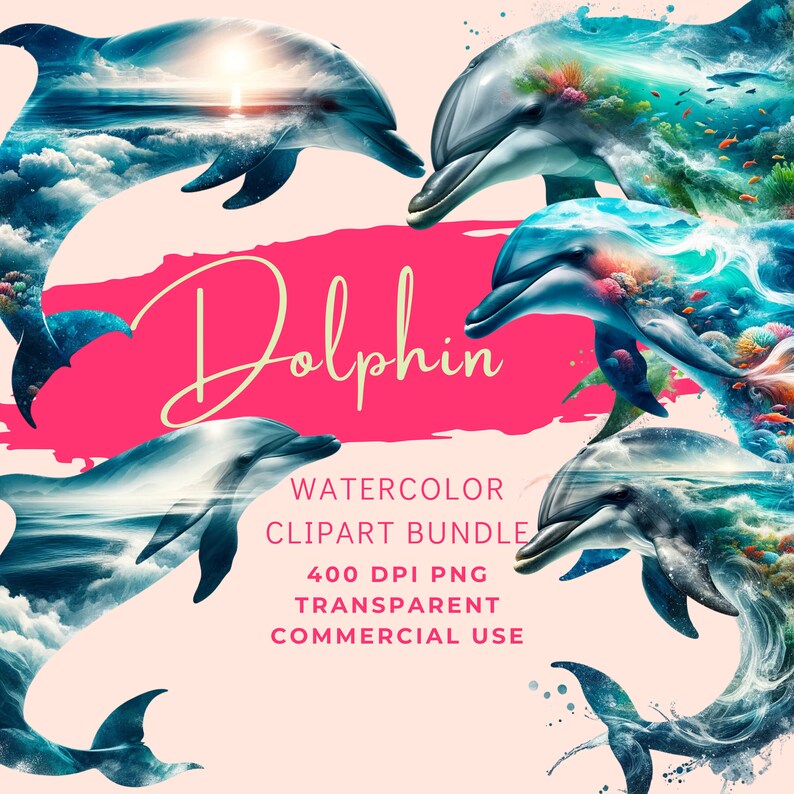 Dolphin Clipart Bundle of Five Digital PNG Images in High Resolution ...