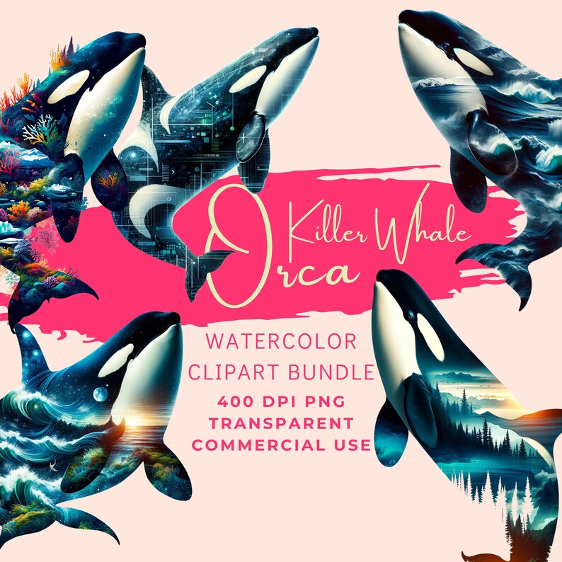 Orca Killer Whale Clipart Bundle, Five Digital PNG Images in High ...