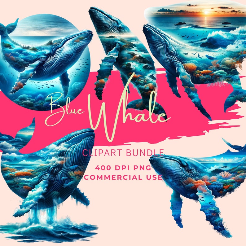 Blue Whale Clipart Bundle of Five Digital PNG Images in High Resolution ...