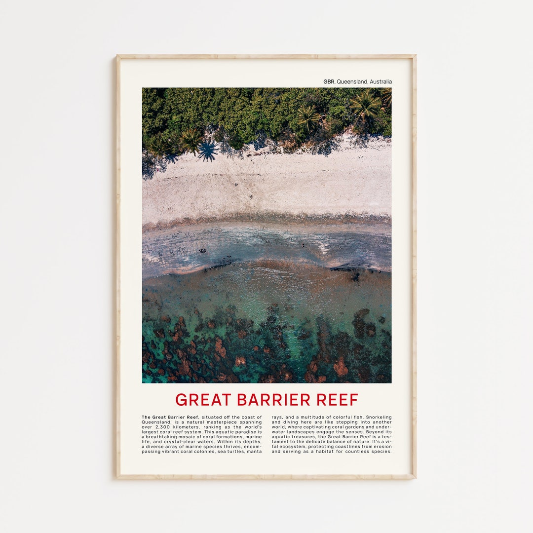 Great Barrier Reef Print Film Photo, Great Barrier Reef Wall Art, Great ...